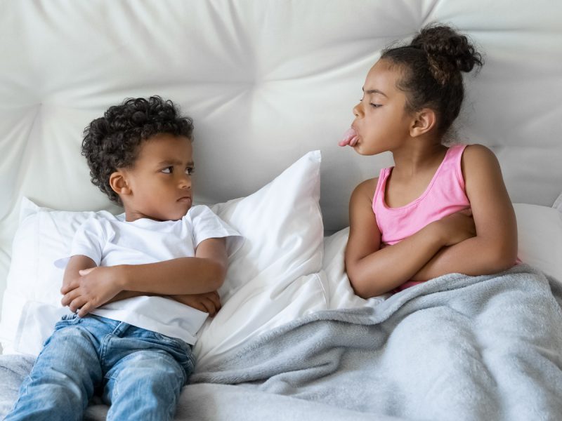 Parenting and Sibling Rivalry – The Blog